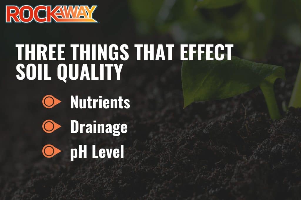 5 Soil Preparation Steps To Prepare For New Landscaping