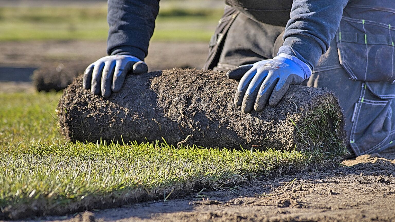 Prepare Soil For Sod | Complete Guide From Ideal Rockaway!